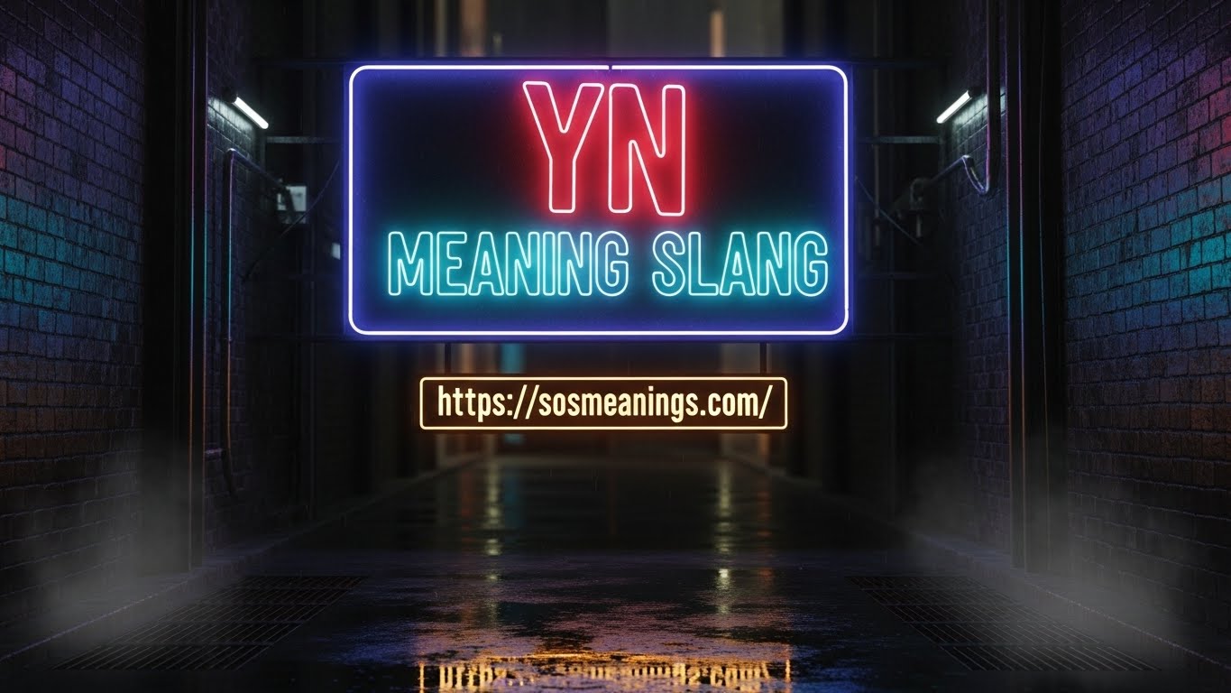 YN Meaning Slang Explained: Uses, Context & Culture