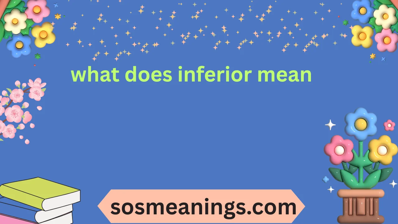 Inferior Meaning Explained – Definition & Examples 2026